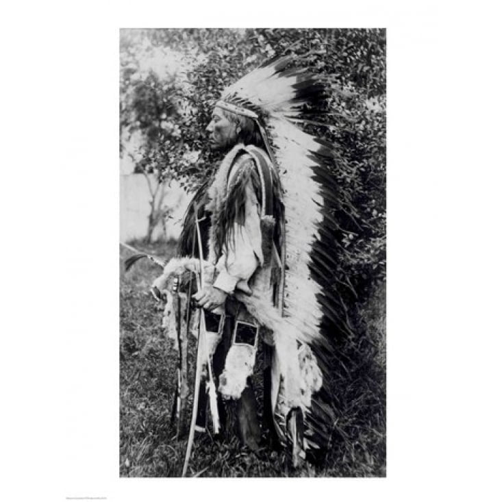 White Wolf a Comanche Chief Poster Print - Walmart.com
