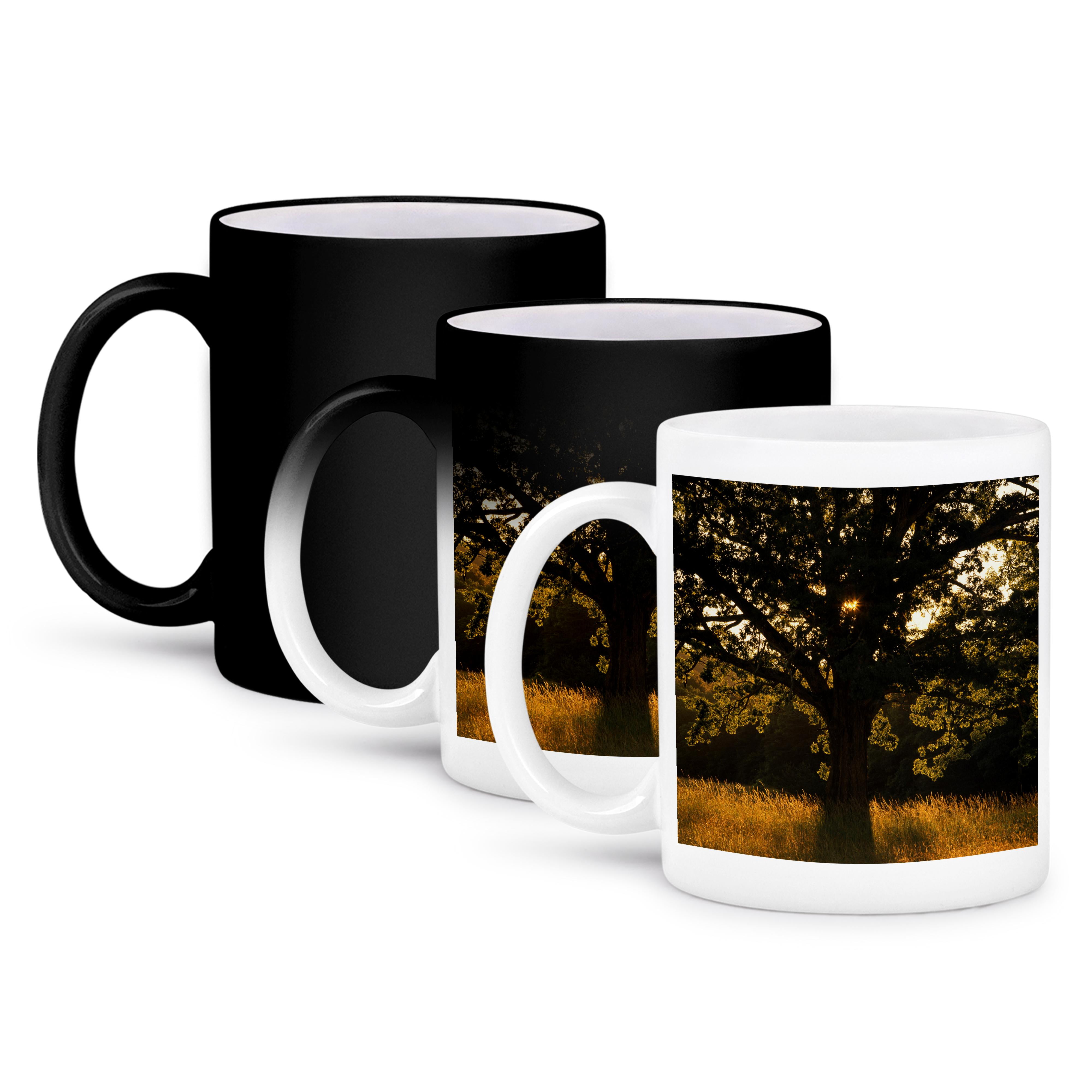 3dRose, White oak tree, Great Smoky Mountains, Tennessee, USA - US43 ...