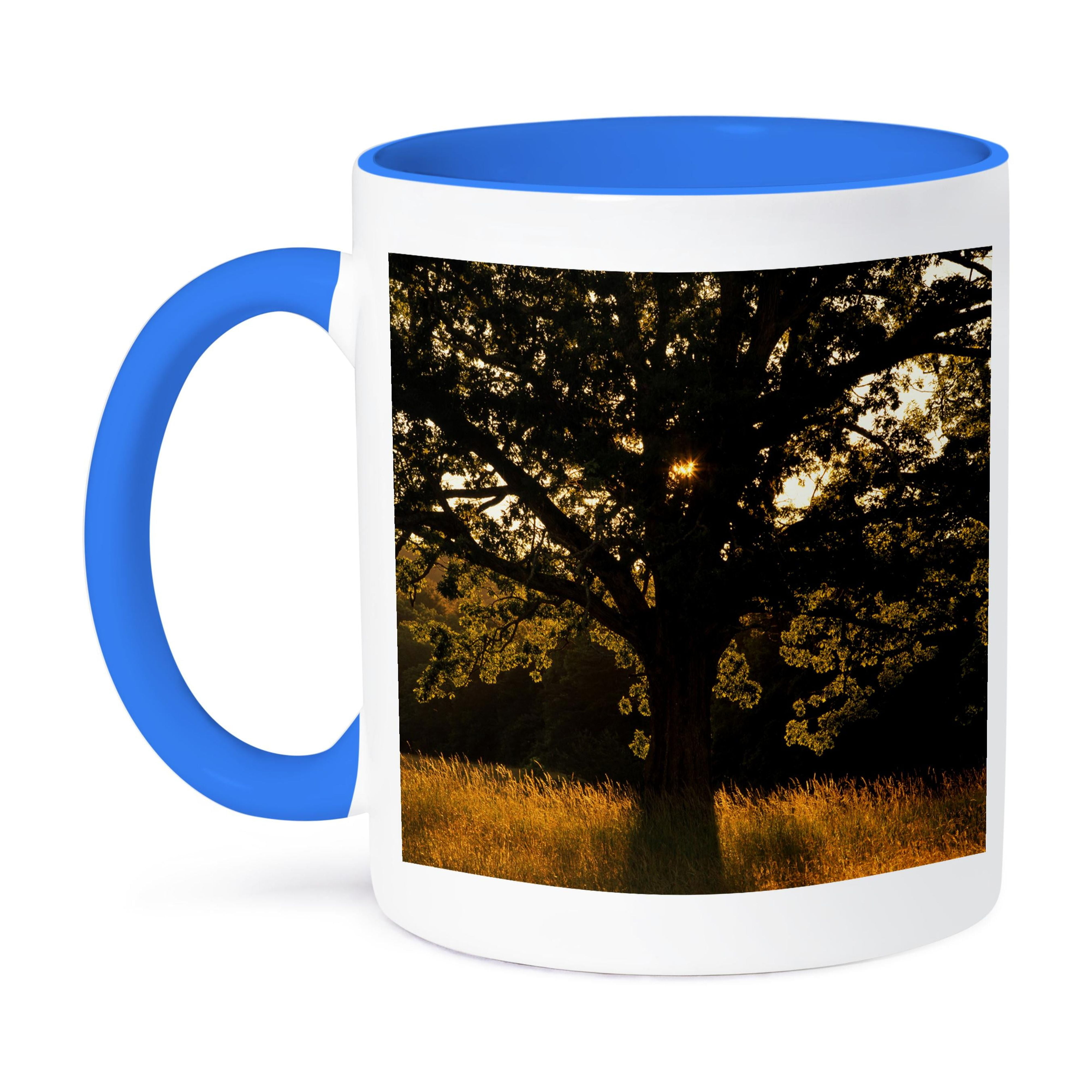 3dRose, White oak tree, Great Smoky Mountains, Tennessee, USA - US43 ...