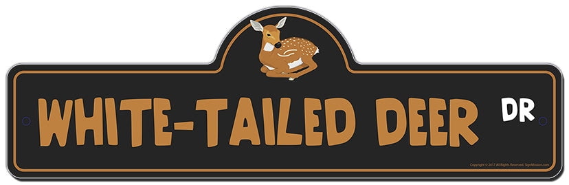 White-tailed Deer Street Sign | Indoor/Outdoor | Funny Home Decor for ...