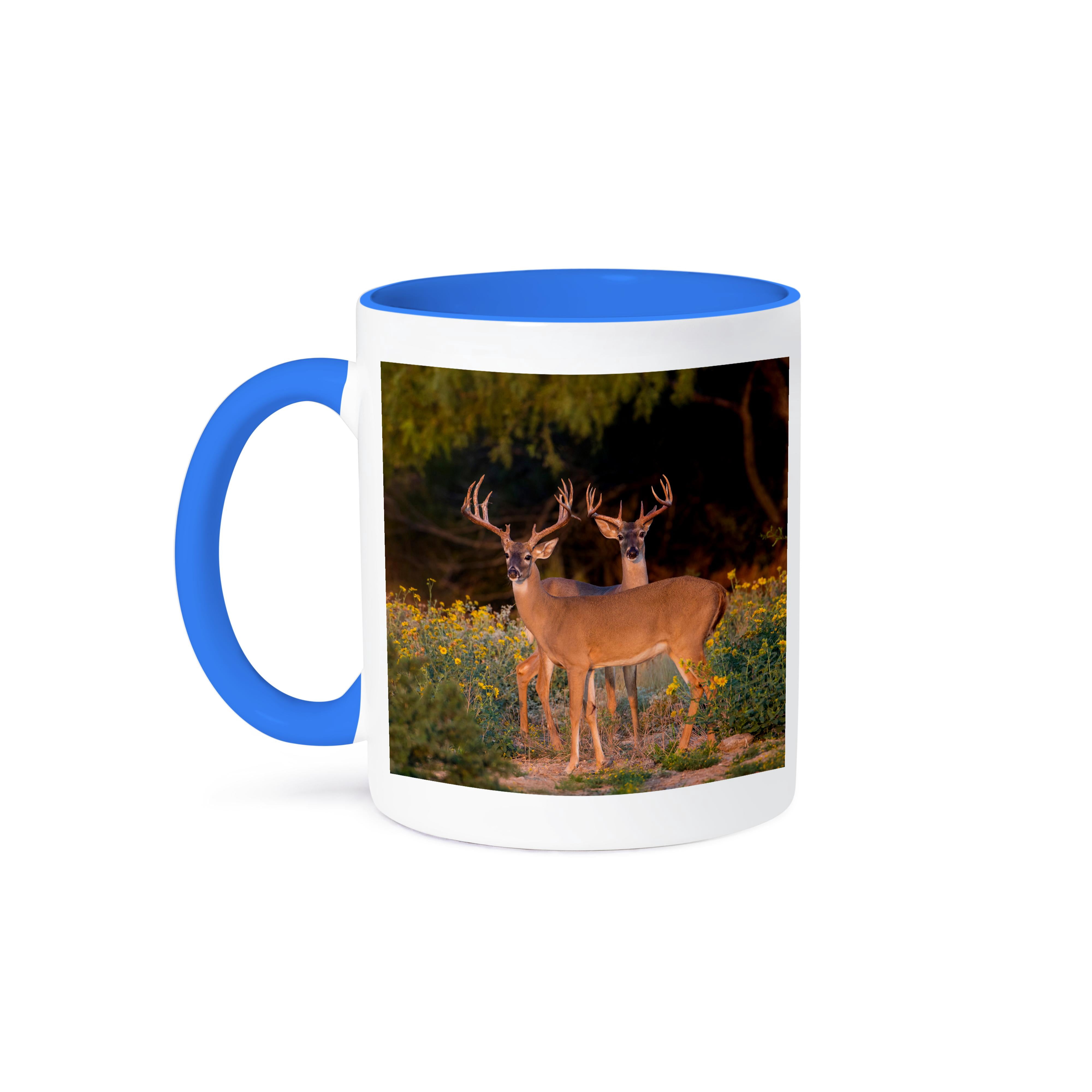 3dRose, White tailed Deer bucks in autumn, Texas, 15oz Two-Tone Blue ...