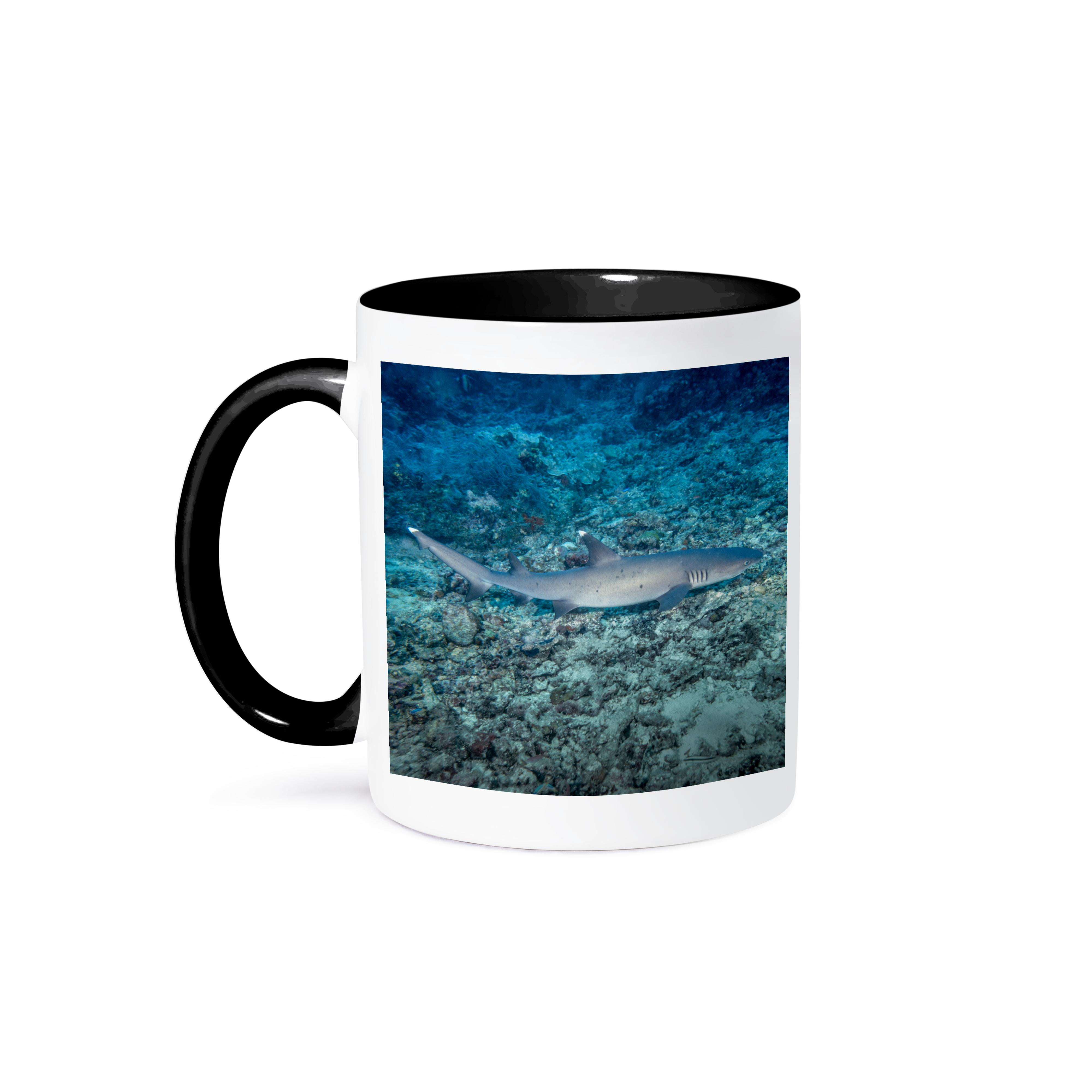 3dRose, White tip reef shark, Sipadan Island, Barracuda Point, Malaysia ...