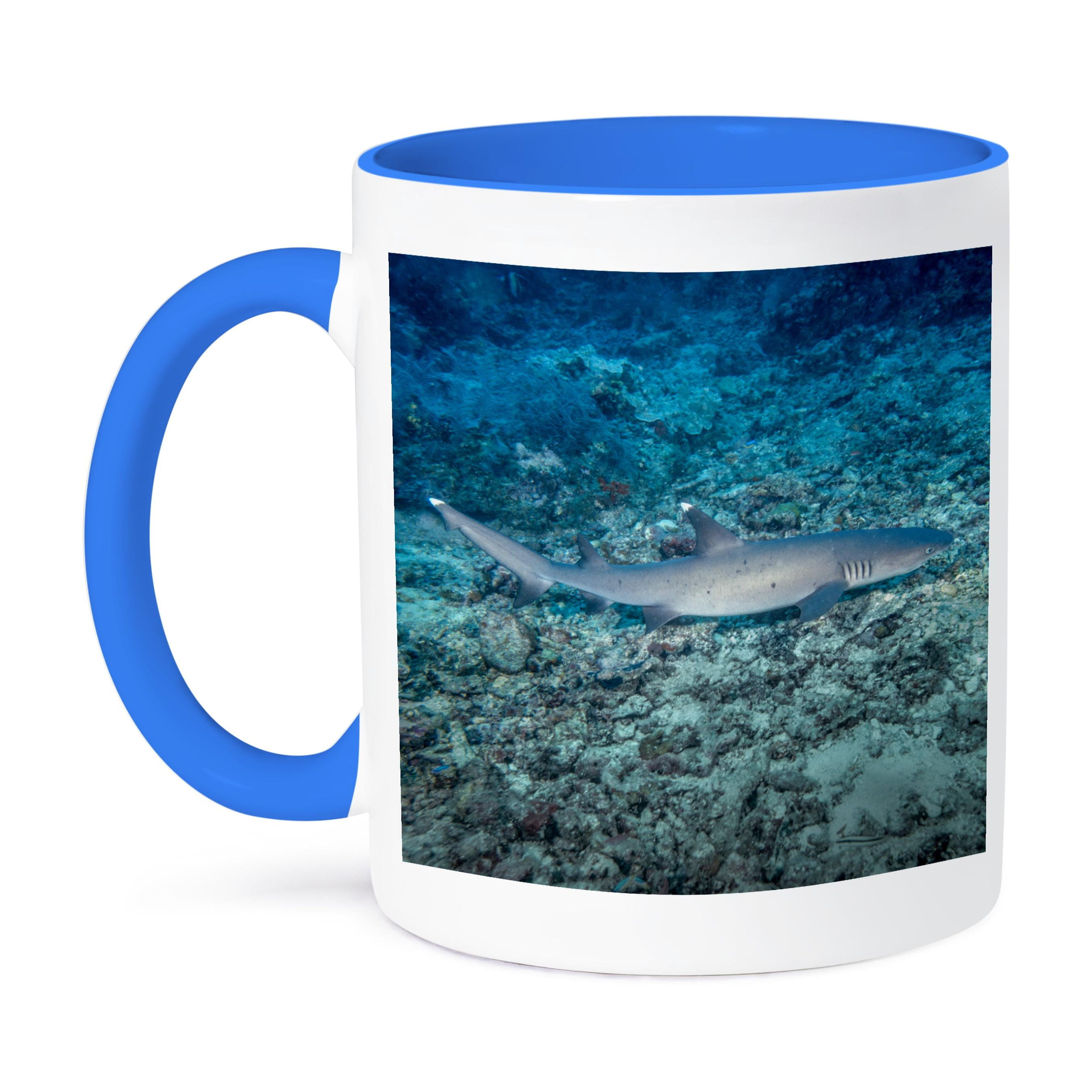 3dRose, White tip reef shark, Sipadan Island, Barracuda Point, Malaysia ...