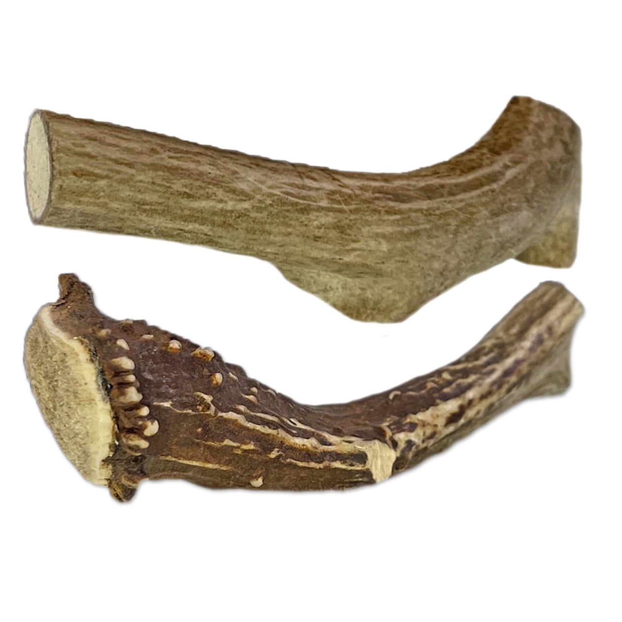 WhiteTail Naturals 2 Pack XL Antlers for Dogs - All Natural, Odorless ...