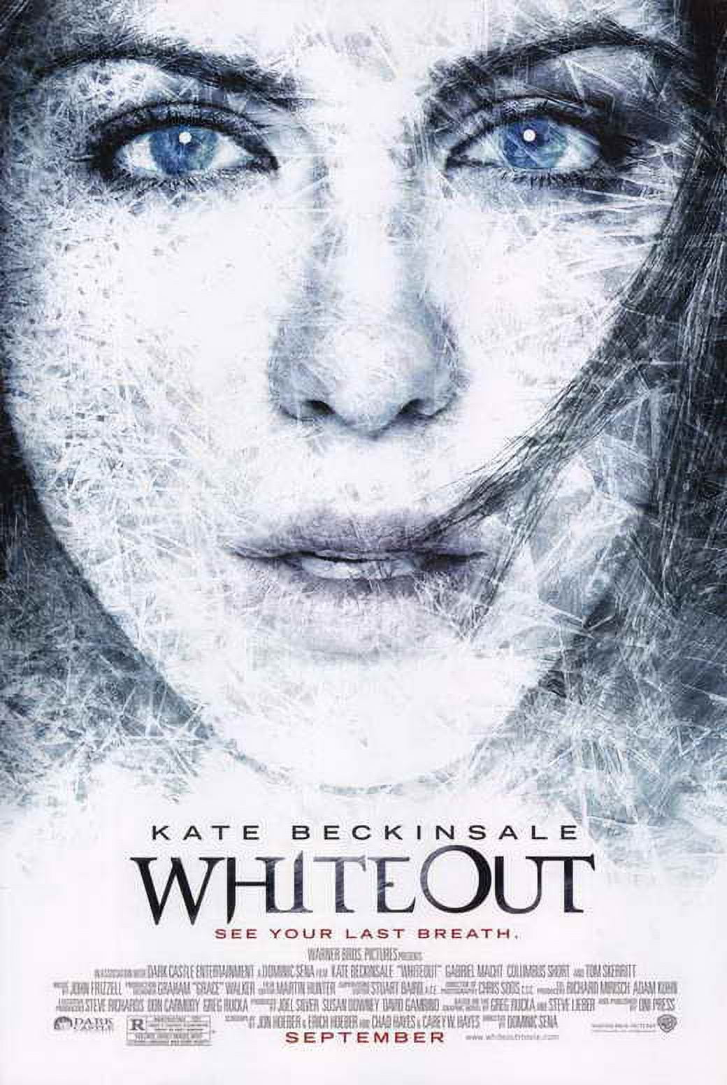 Whiteout - movie POSTER (Style B) (11" x 17") (2009) - Walmart.com