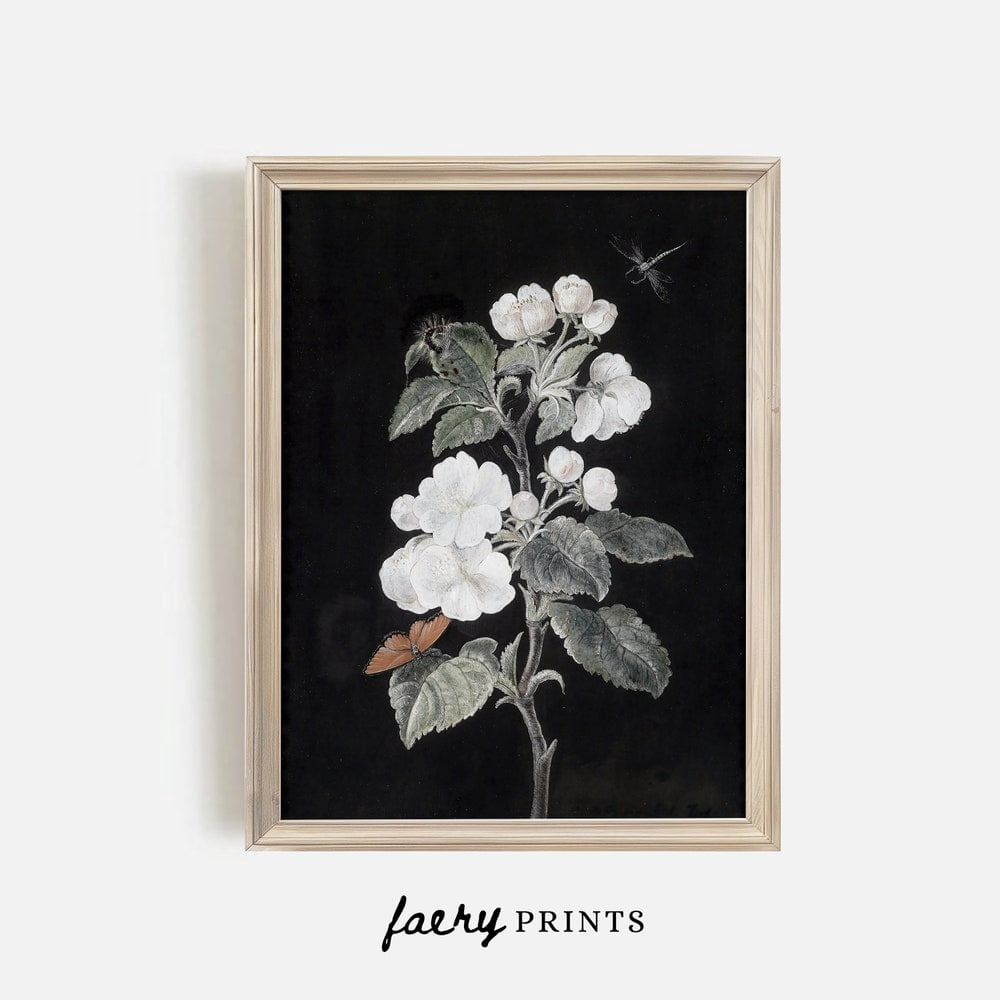 Whitepeak Art Dark Botanical Wall Art | Moody Vintage Home Decor | Dark ...