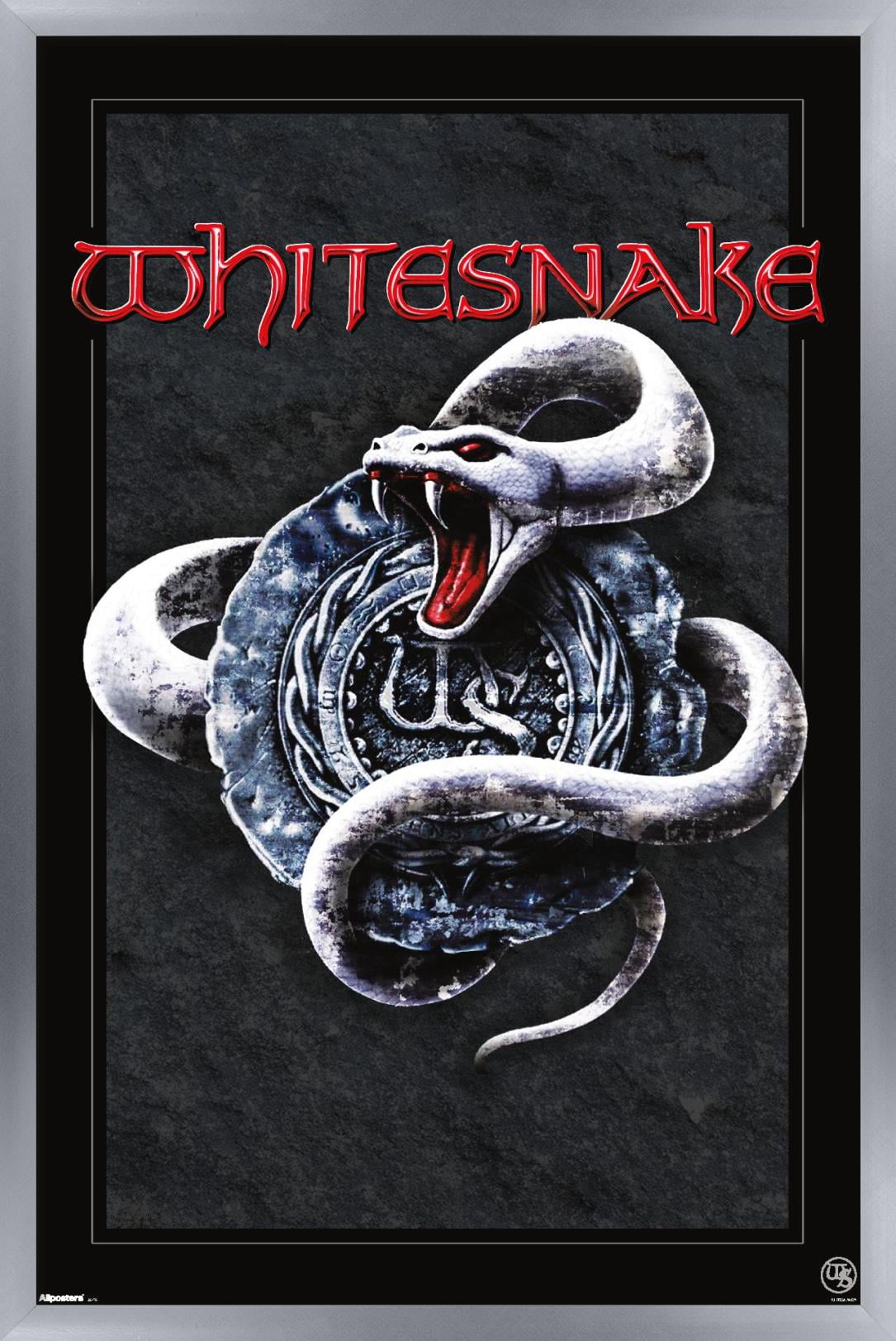 Whitesnake - Silver Snake Logo Wall Poster, 14.725" x 22.375" Framed ...