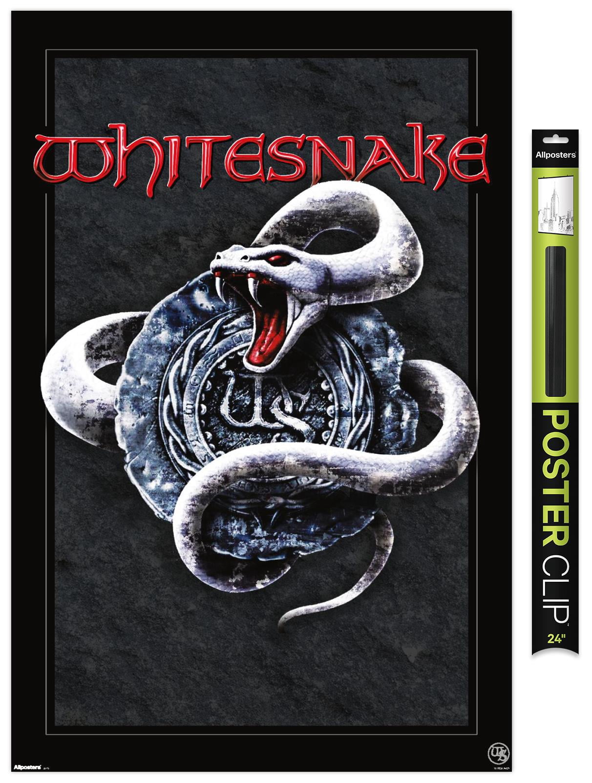 Whitesnake - Silver Snake Logo Wall Poster, 22.375" x 34" - Walmart.com