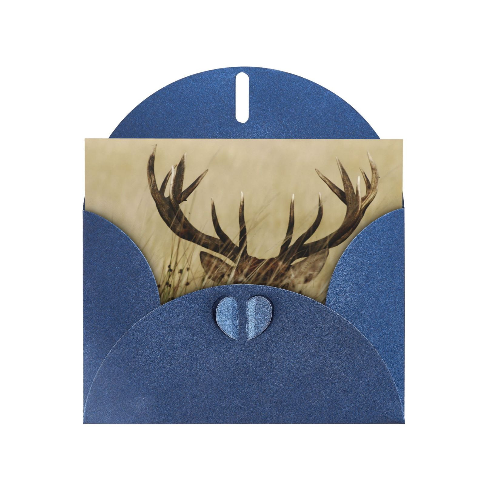 Whitetail Deer Fawn In Wilderness Stag Birthday Cards Blank Cards ...