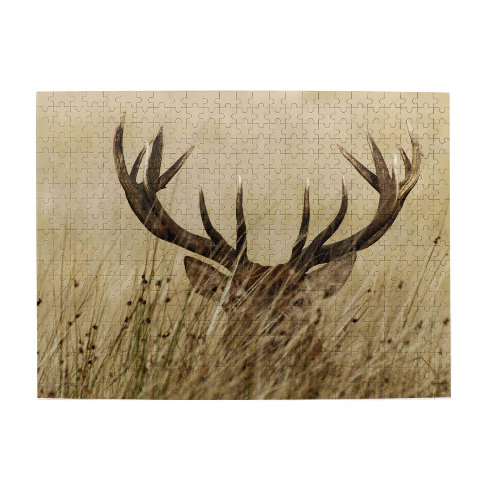 Whitetail Deer Fawn In Wilderness Stag, Jigsaw Puzzles 500 Pieces ...