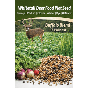 Dinner Getter Deer Food Plot Corn Seeds - 250 Seeds to Grow Deer Food ...