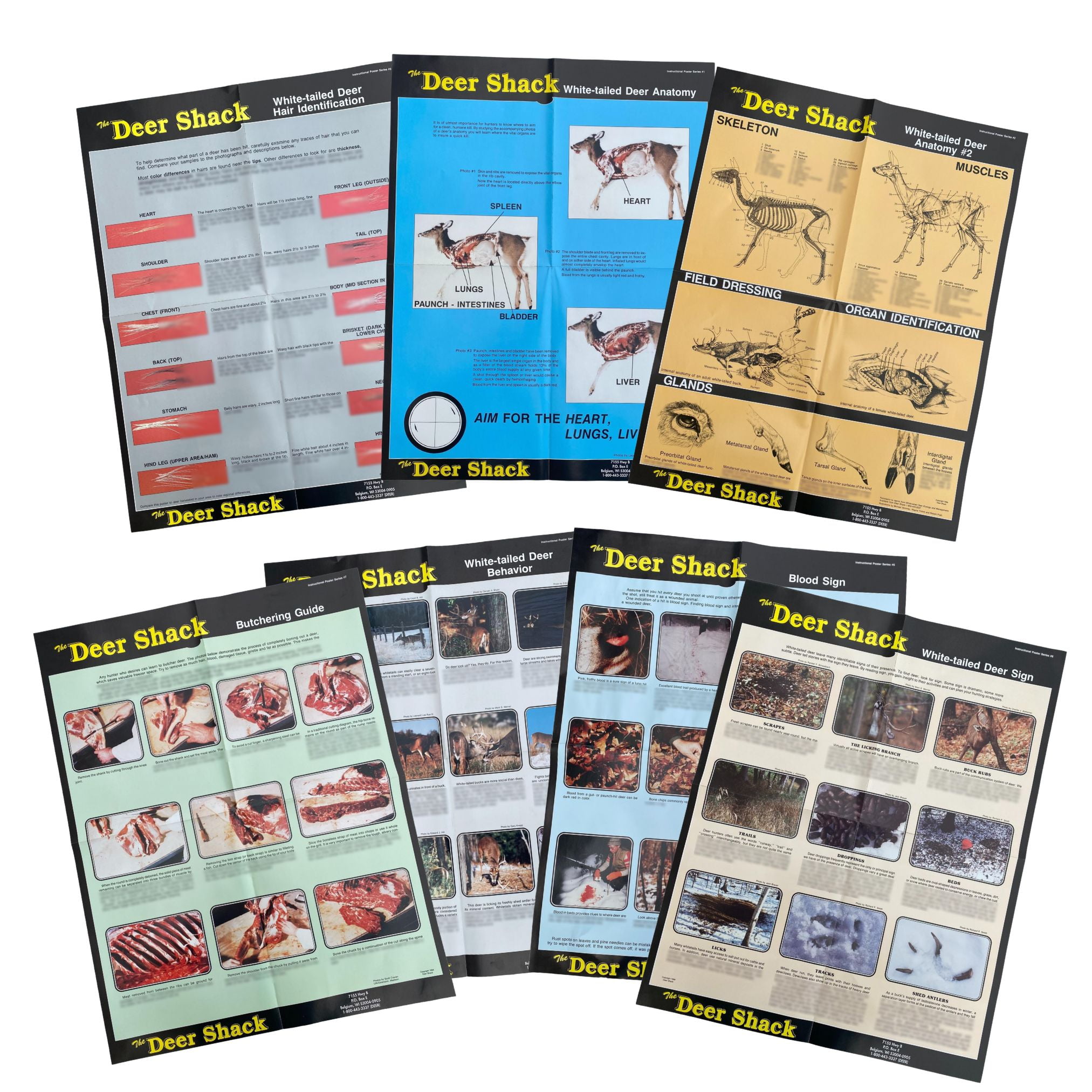 Whitetail Deer Instructional Posters - Set of 7 Educational Posters ...