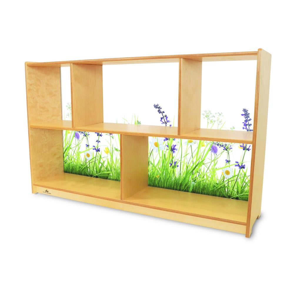 Whitney Brothers Birch Plywood Nature View Acrylic Back Cabinet WB0248 ...