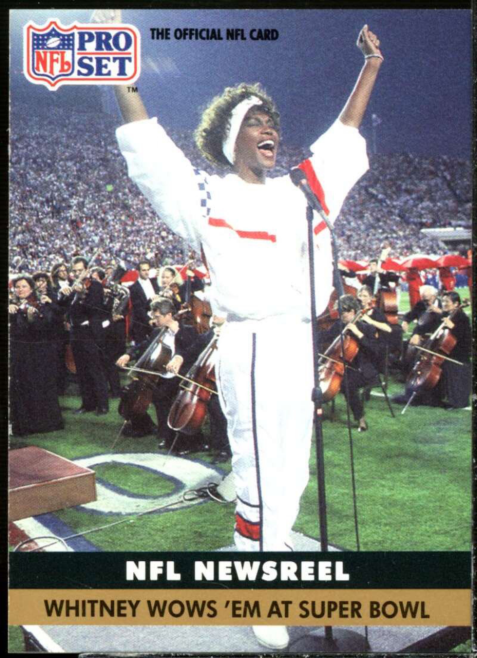 Whitney Houston Card 1991 Pro Set #350 - Walmart.com