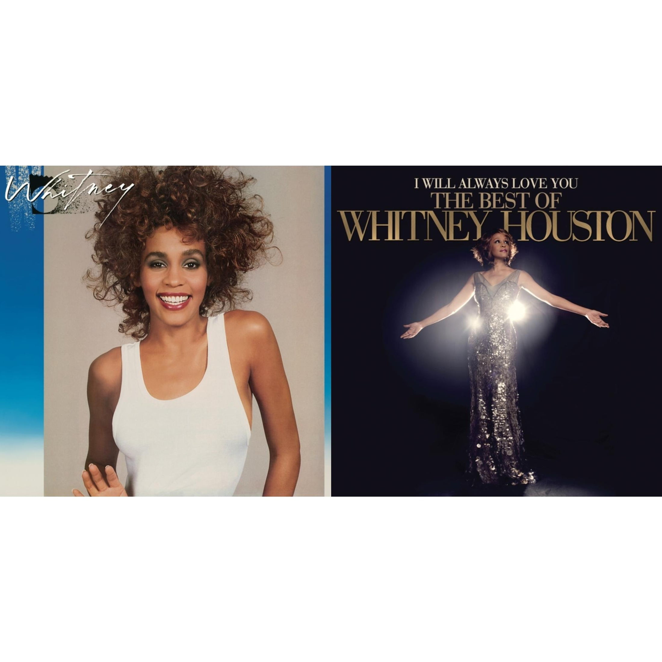 Whitney & I Will Always Love You: The Best Of Whitney Houston (2LP ...