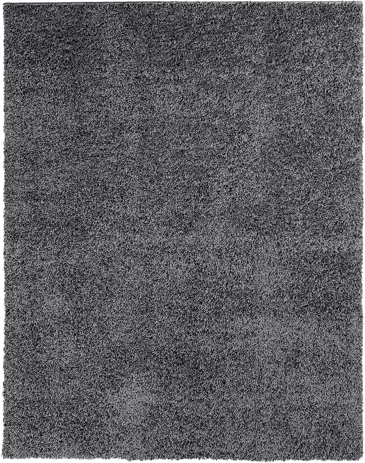 Garvee 2' x 3' Shag Area Rug Indoor Floor Mat Plush Fuzzy Shaggy Rug ...