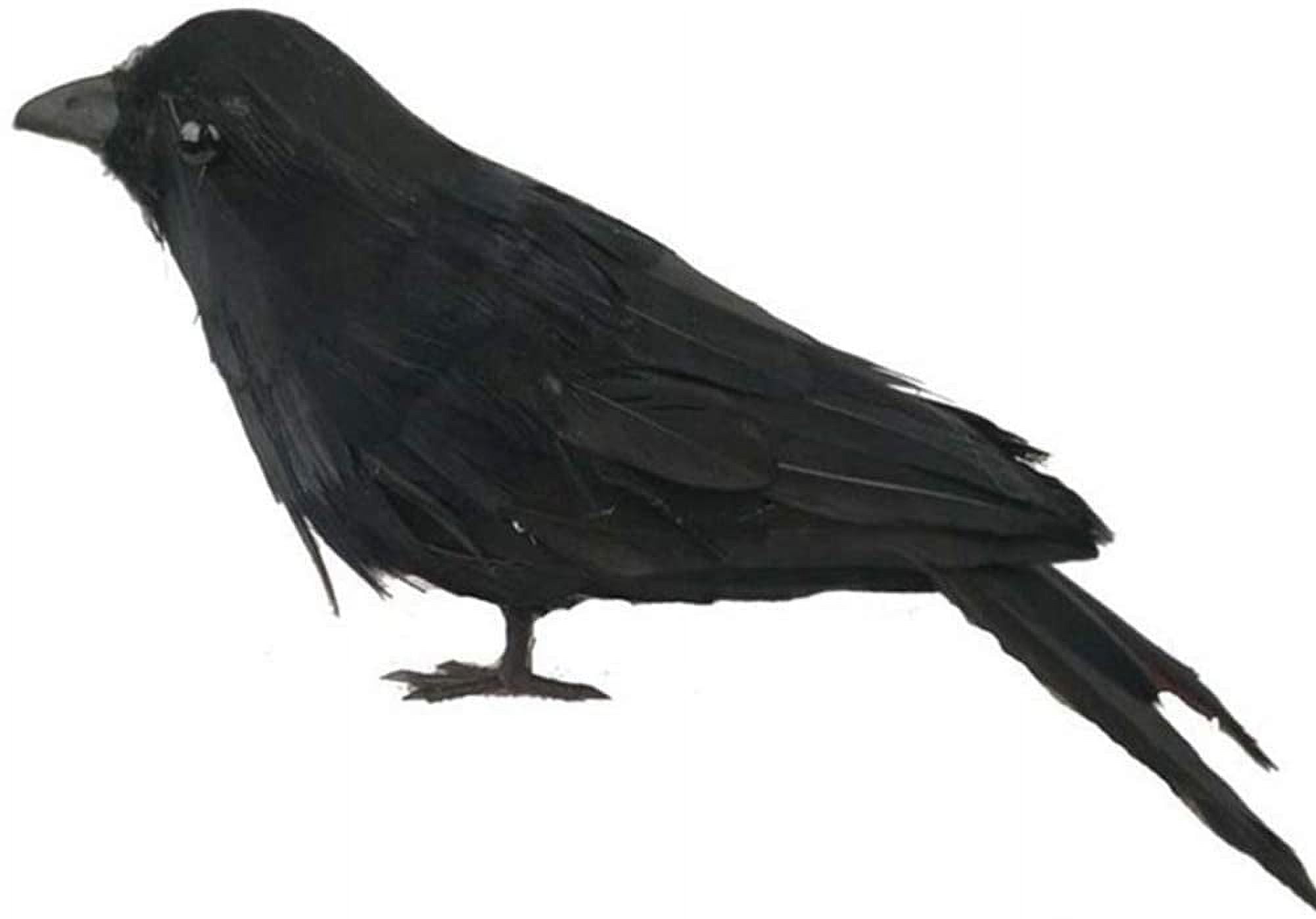 Garvee Realistic Crows Halloween Handmade Crow Prop Feathered Black ...