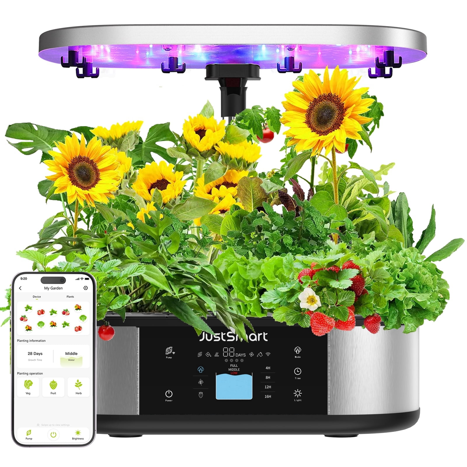 Garvee Smart WiFi Indoor Herb Garden Kit, 12 Pods Hydroponics Growing ...
