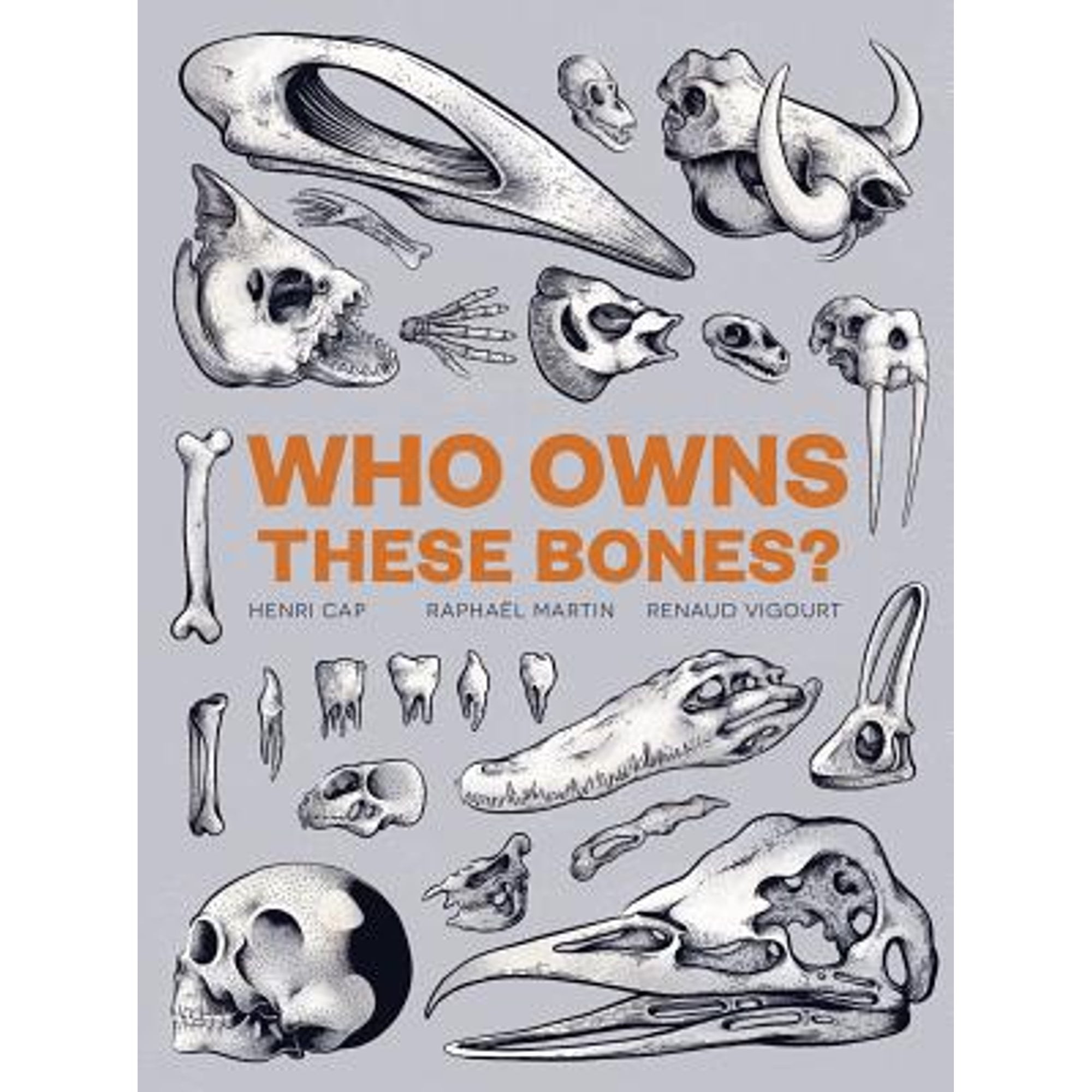 Who Owns These Bones? (Hardcover) - Walmart.com