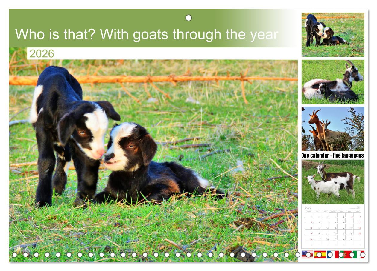 Who is that? With goats through the year (Monthly Wall Calendar 2026 16 ...