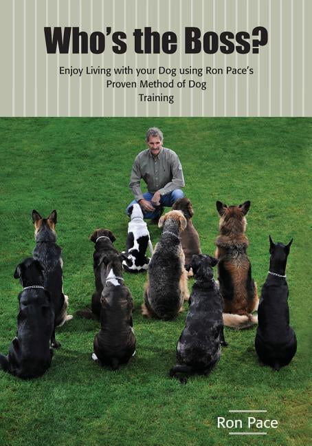 Who's the Boss? (Paperback) - Walmart.com