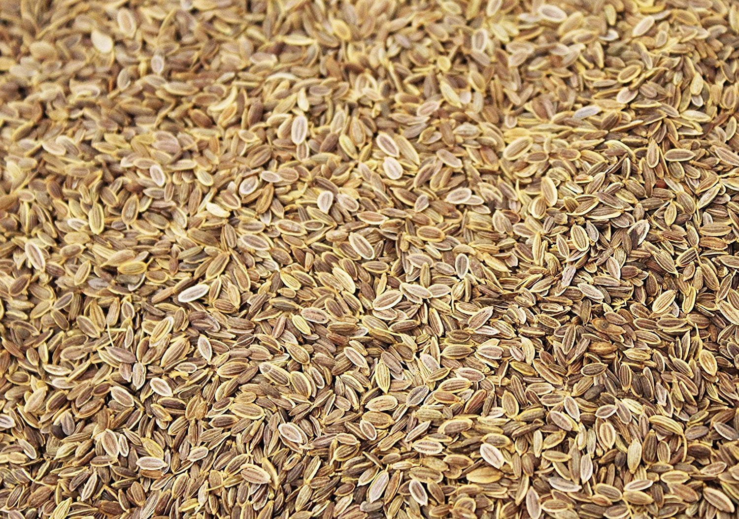 Whole Dill Seeds by Its Delish, 10 lbs Bulk Bag - Walmart.com