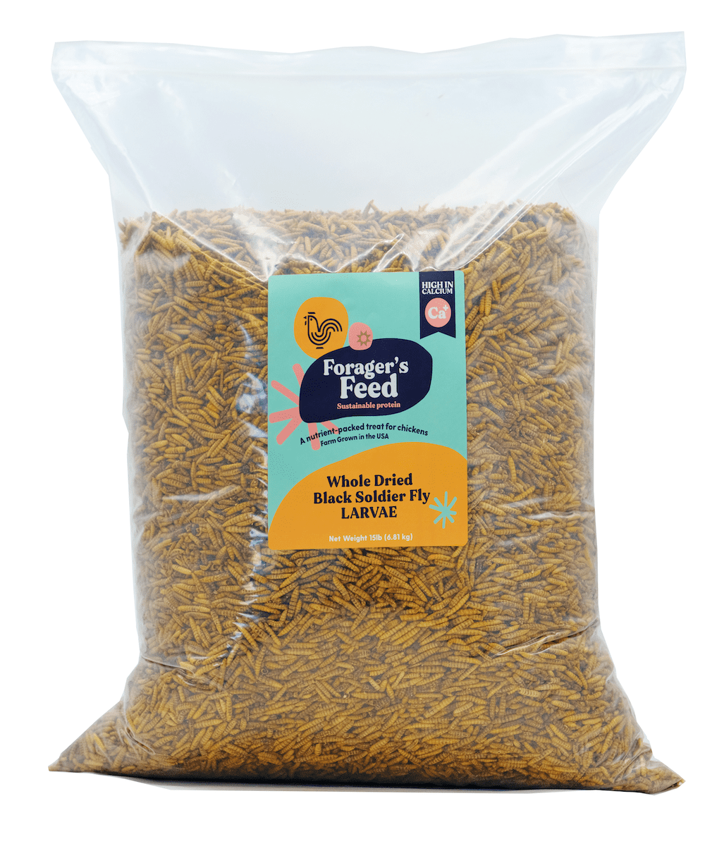 Forager's Feed Whole Dried Black Soldier Fly Larvae (BSFL) 15 Lbs ...