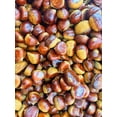 Whole Raw Chestnut 2 Pounds - Walmart.com
