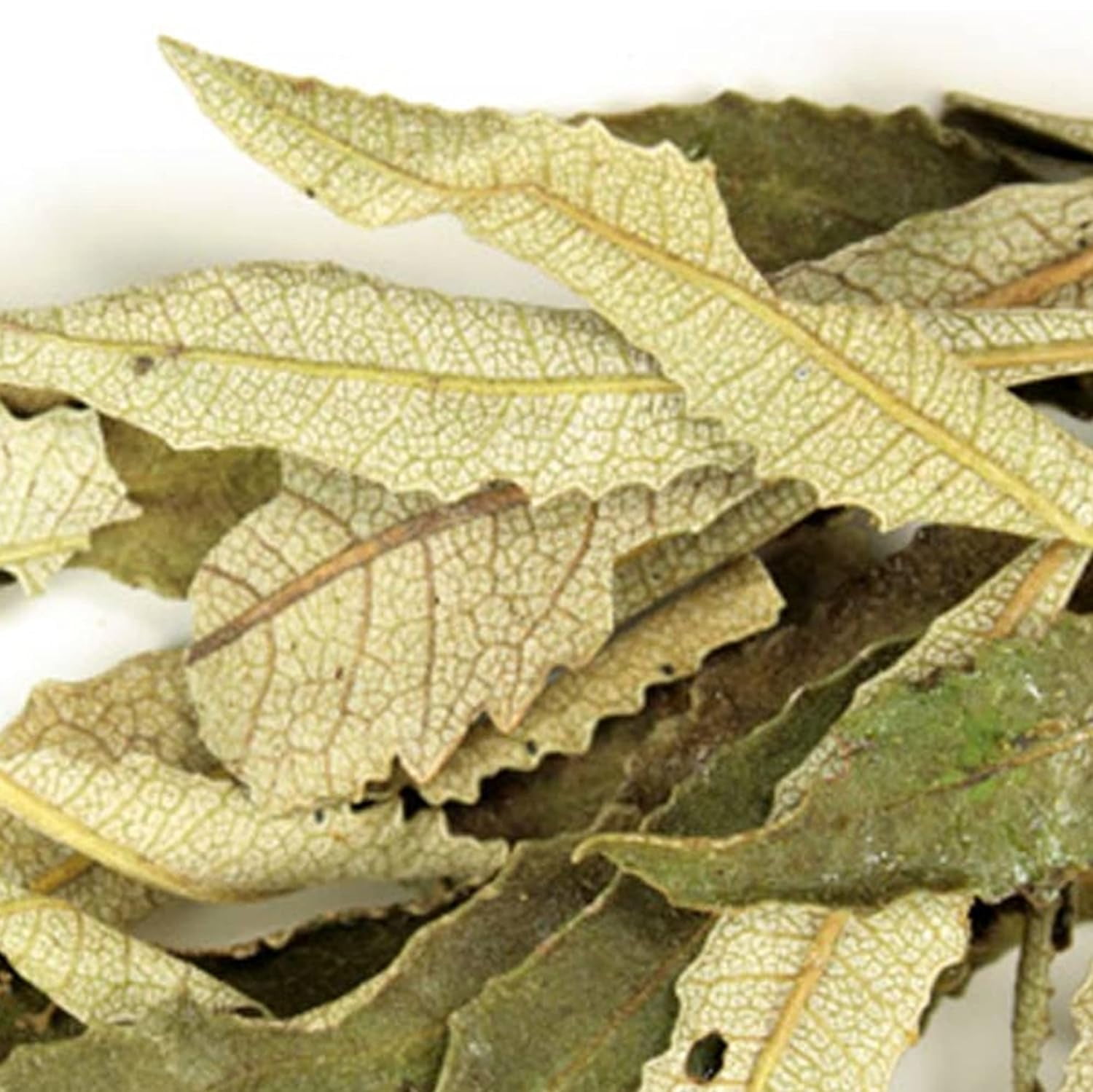 Whole Yerba Santa Leaf – Yerba Santa Leaf - Yerba Santa Leaf Tea (Loose ...