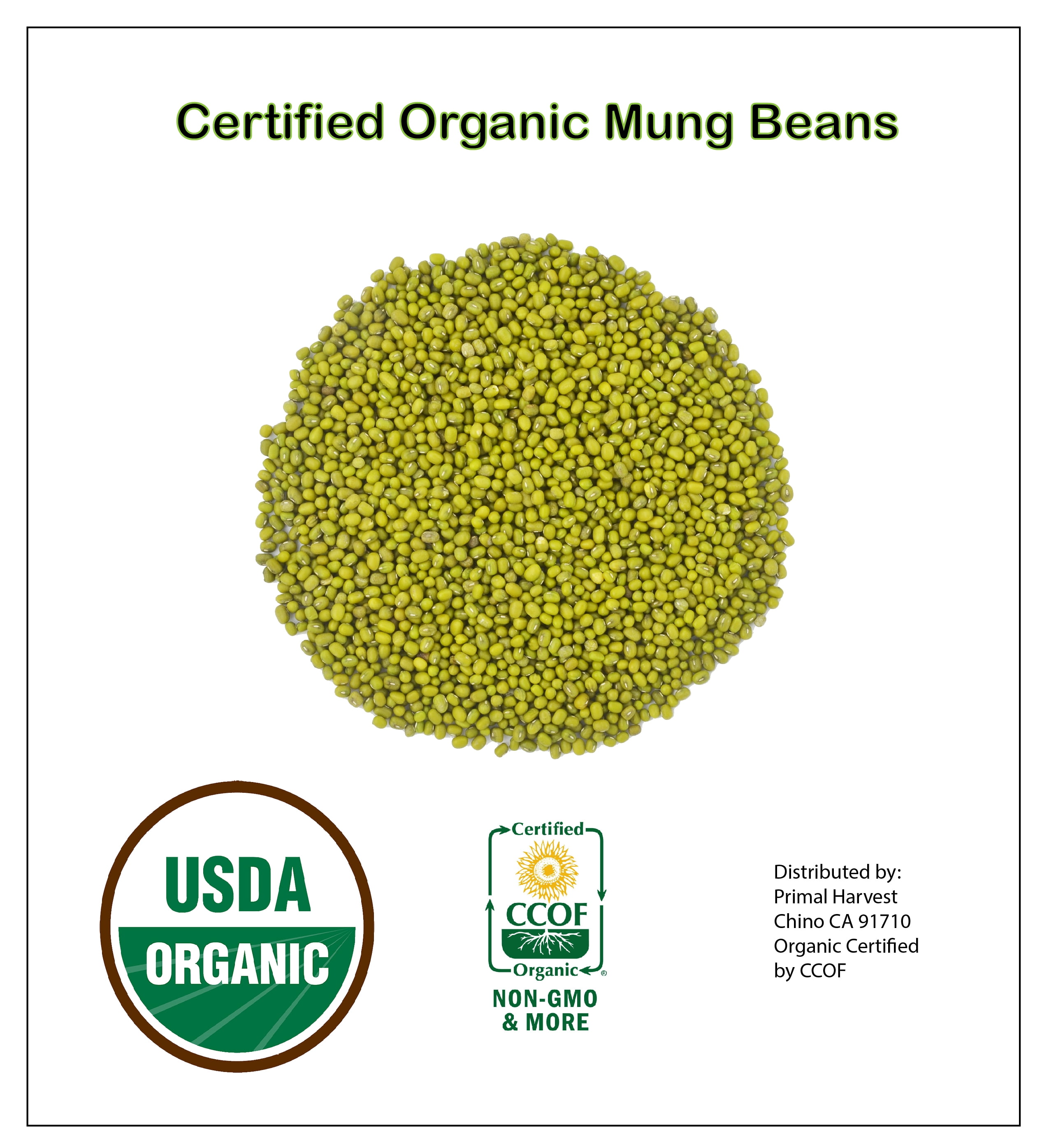 Whole dried Organic Mung Beans aka 'Green Gram' 'Maash' 'Moong ...