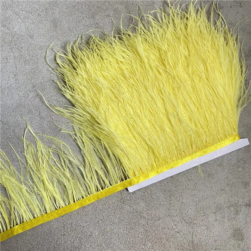 Wholesale 10Yard High Quality Ostrich Feather Trim Fringe Feather ...