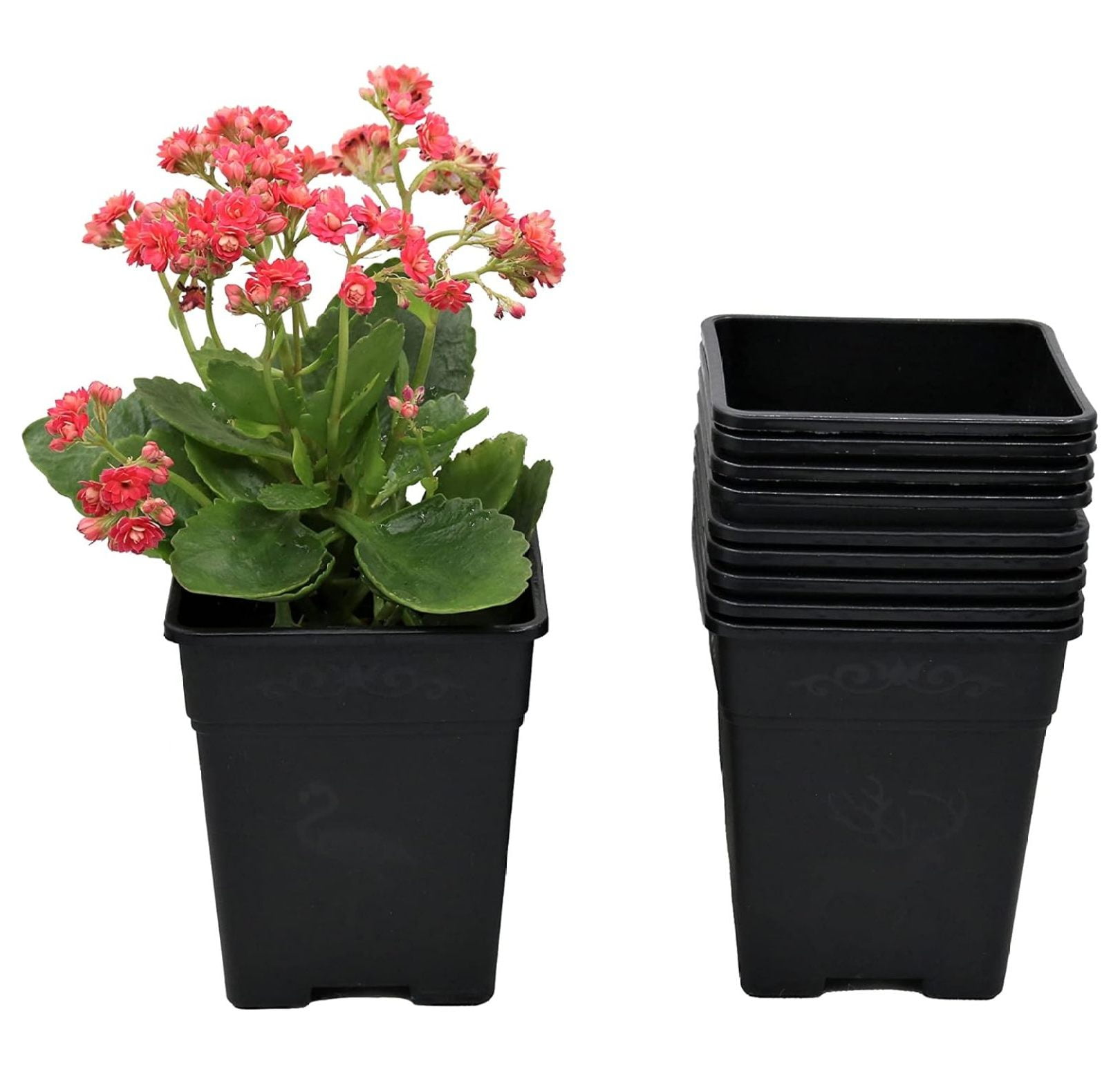 Wholesale 5 Inch Square Nursery Pot 30-Pack 0.5 Gallon Plastic Planters ...