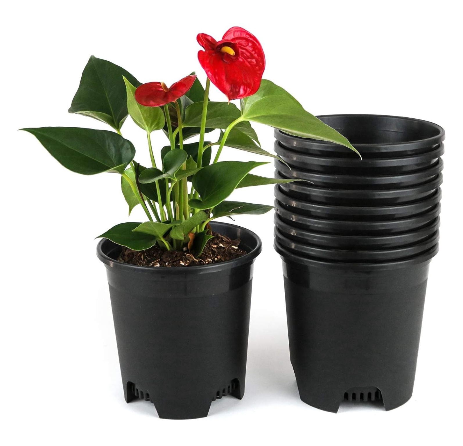 Wholesale Bulk Nursery Pot 5.5 Inch Black Plastic Planters 30-Pack 0.5 ...