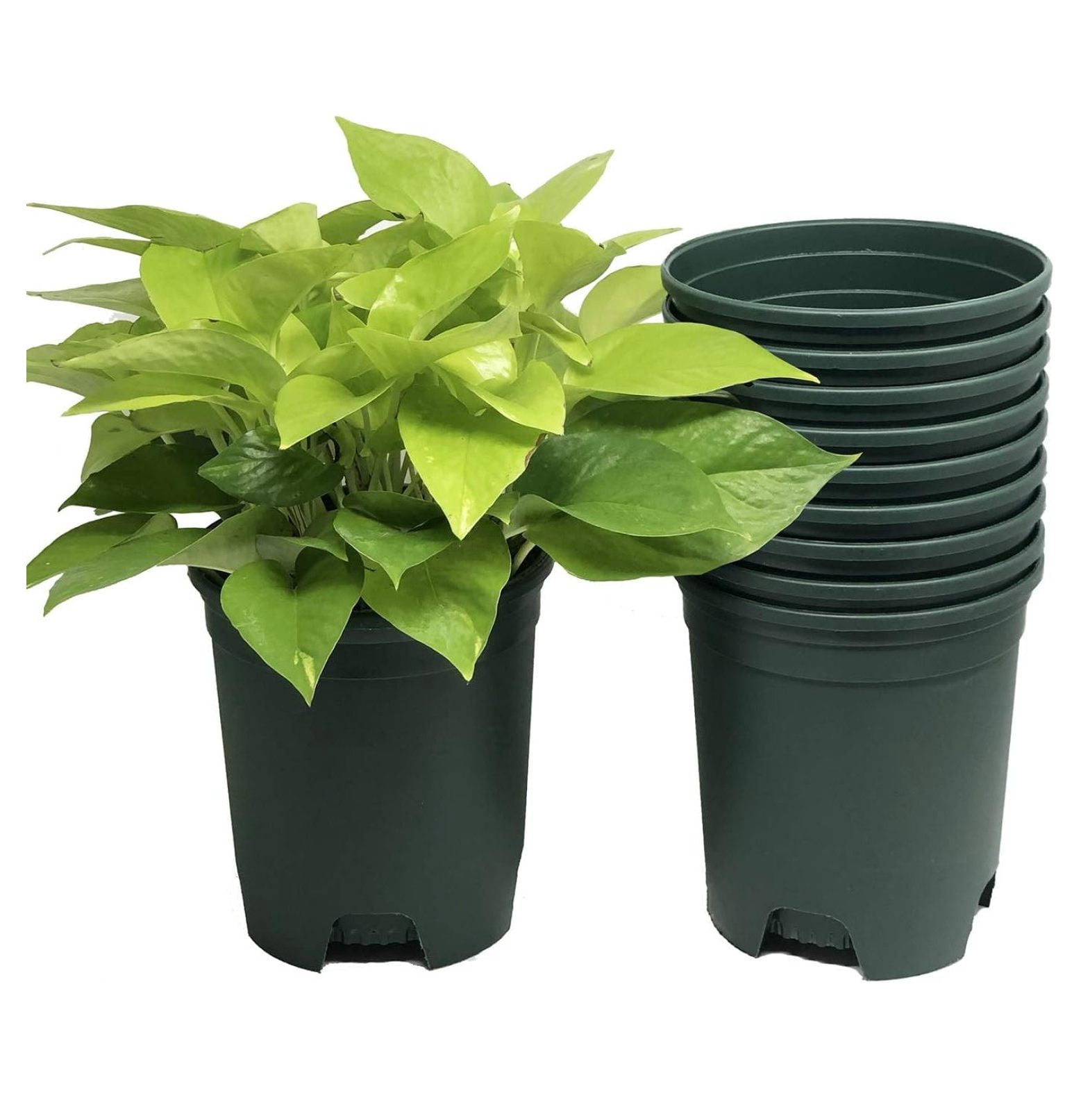 Wholesale Bulk Nursery Pot Plastic Planters 30-Pack 1 Gallon Pots for ...