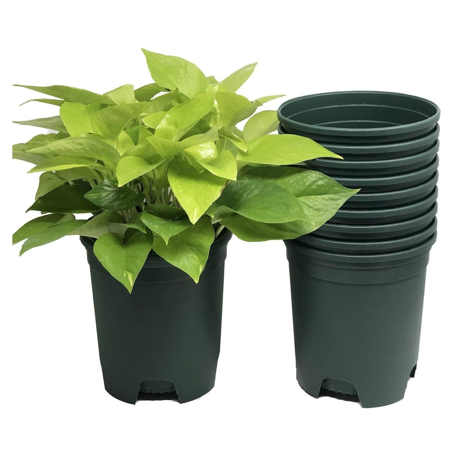 Wholesale Bulk Nursery Pot Plastic Planters 30-Pack 1 Gallon Pots for ...