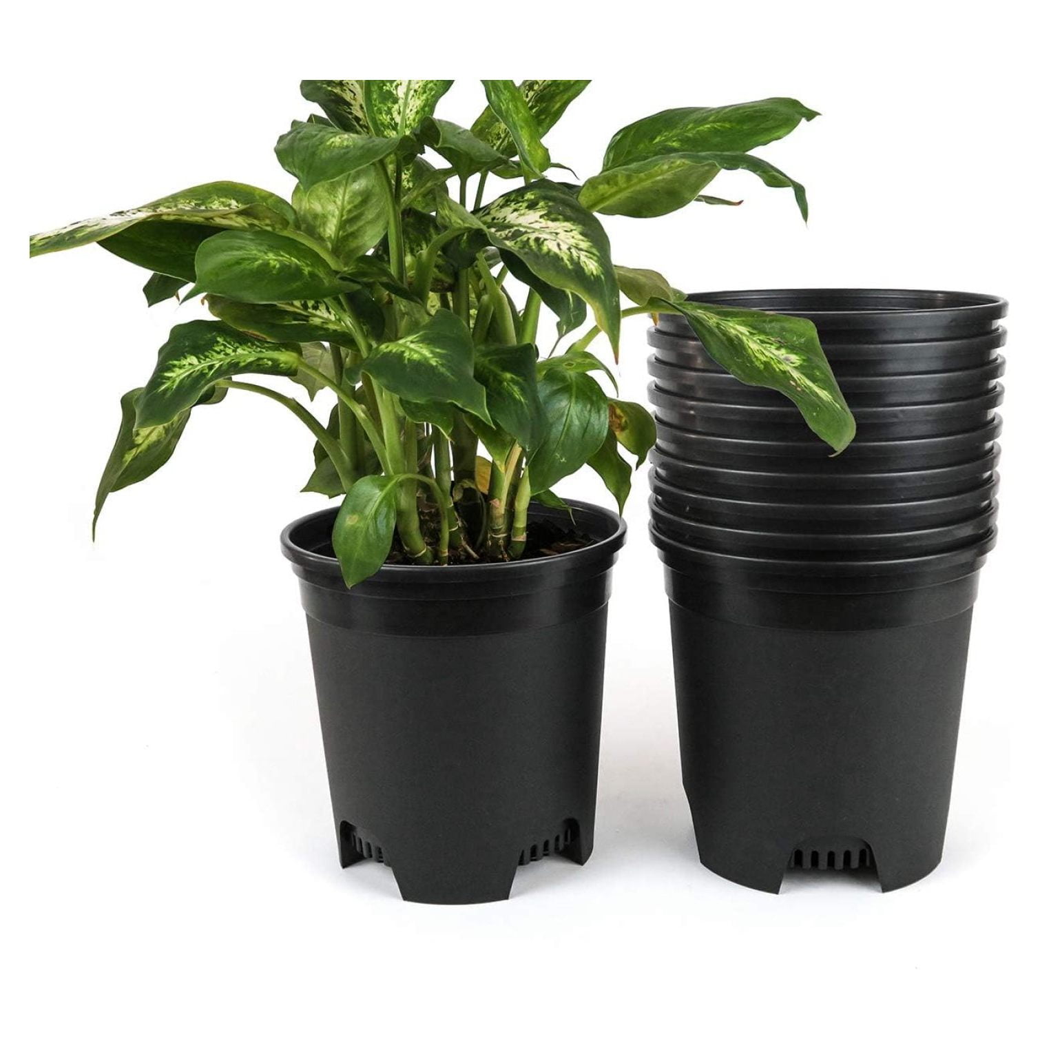 Wholesale Nursery Pot in Bulk 30-Pack 1.5 Gallon Plastic Planters for ...