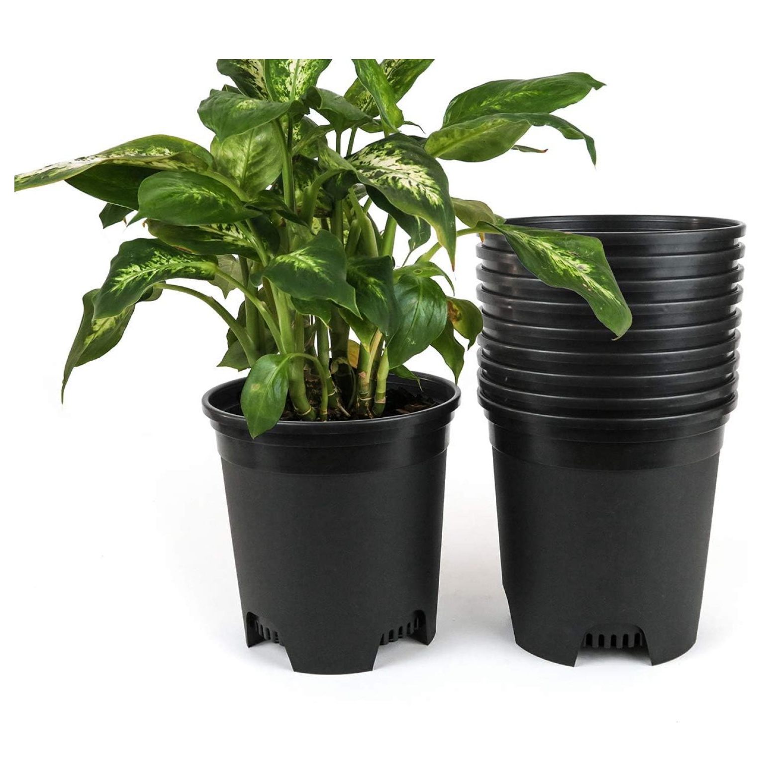 Wholesale Nursery Pot in Bulk 30-Pack 1.5 Gallon Plastic Planters for ...