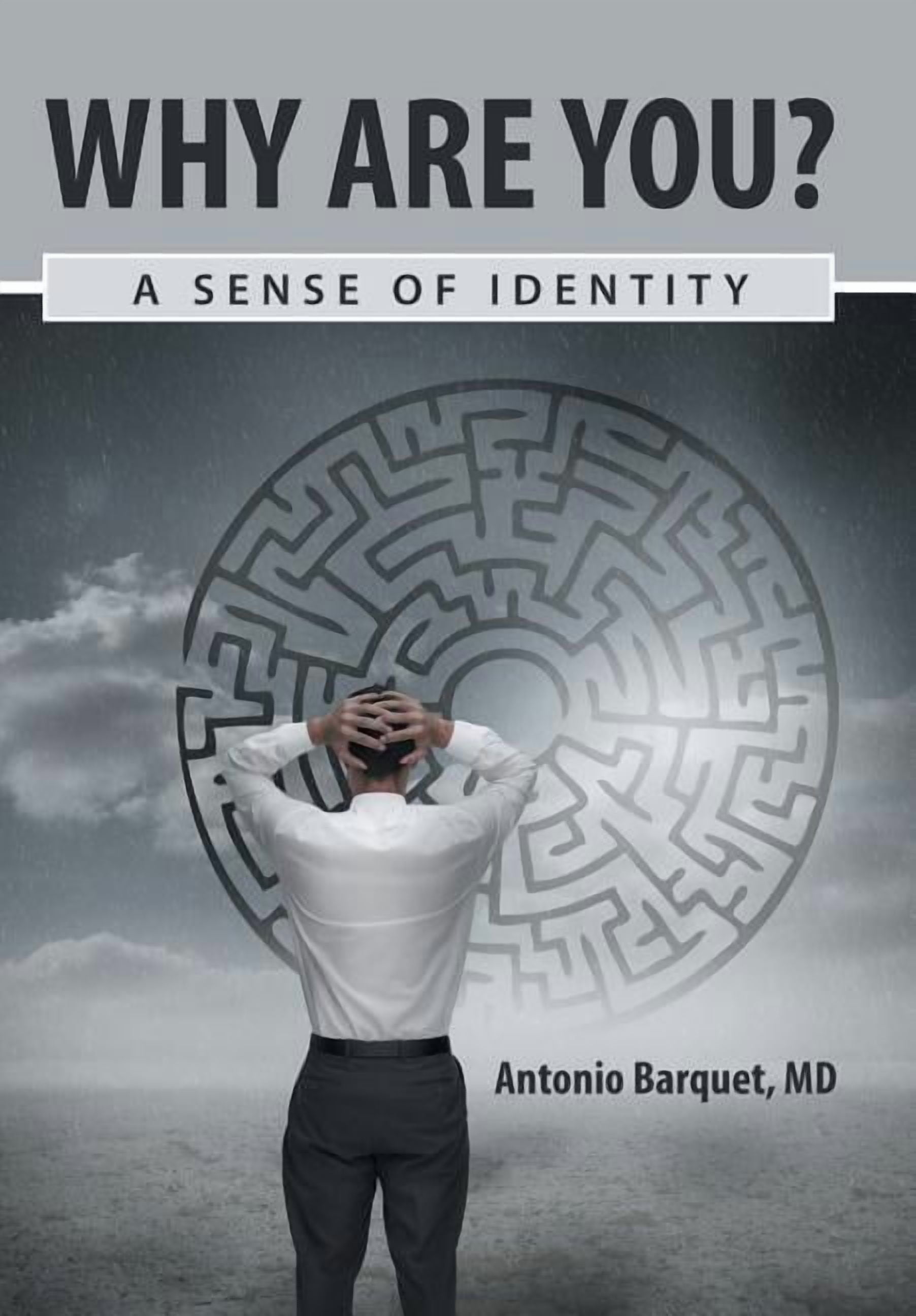 Why Are You?: A Sense of Identity (Hardcover) - Walmart.com