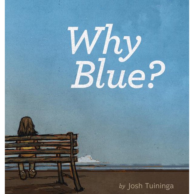 Why Blue? (Hardcover) - Walmart.com