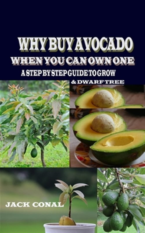 Why Buy Avocado When You Can Own One: A Step by Step Guide to Grow ...