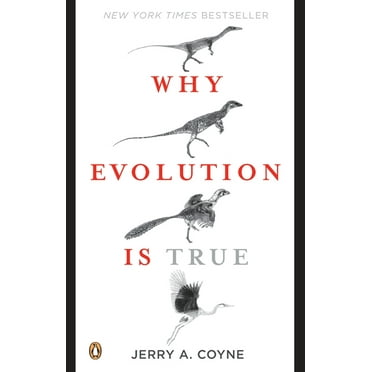 Spontaneous Evolution: Our Positive Future (and a Way to Get There from ...