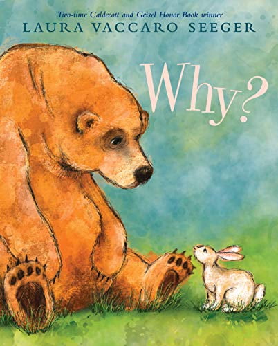 Pre-Owned Why? (Hardcover) 0823441733 9780823441730 - Walmart.com