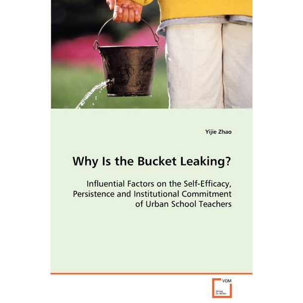 Why Is the Bucket Leaking? Influential Factors on the Self-Efficacy ...