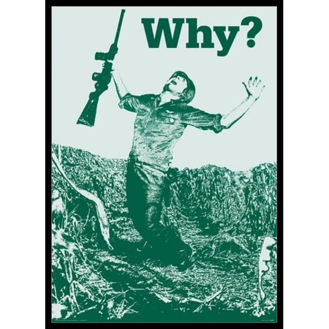 Why - Soldier Laminated & Framed Poster (24 x 34) - Walmart.com