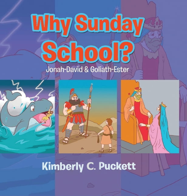 Why Sunday School? (Hardcover) - Walmart.com