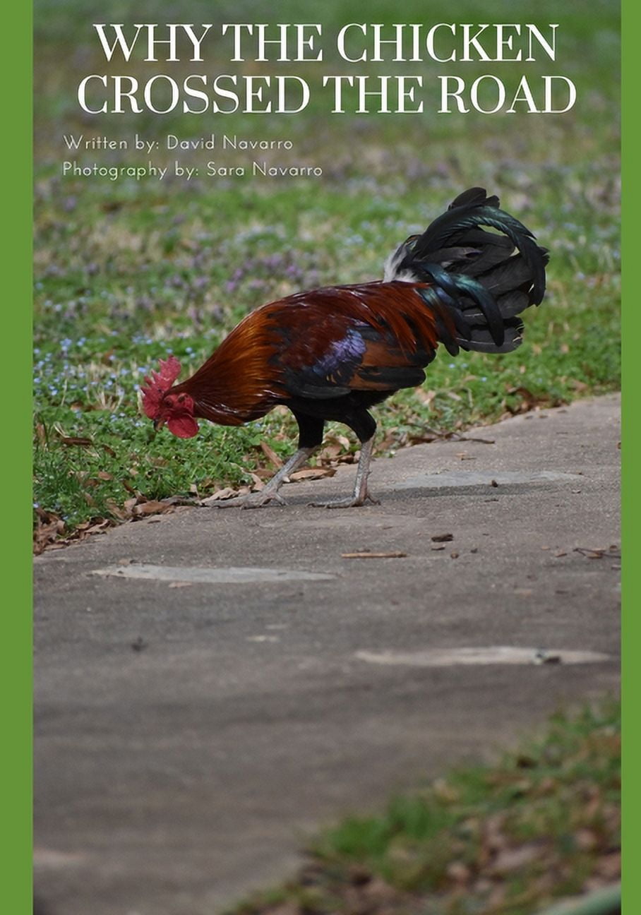 Why The Chicken Crossed The Road - Walmart.com