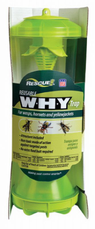 Why Wasp & Hornet Yellow Jacket Trap Catches 18 Species Of Stinging P ...