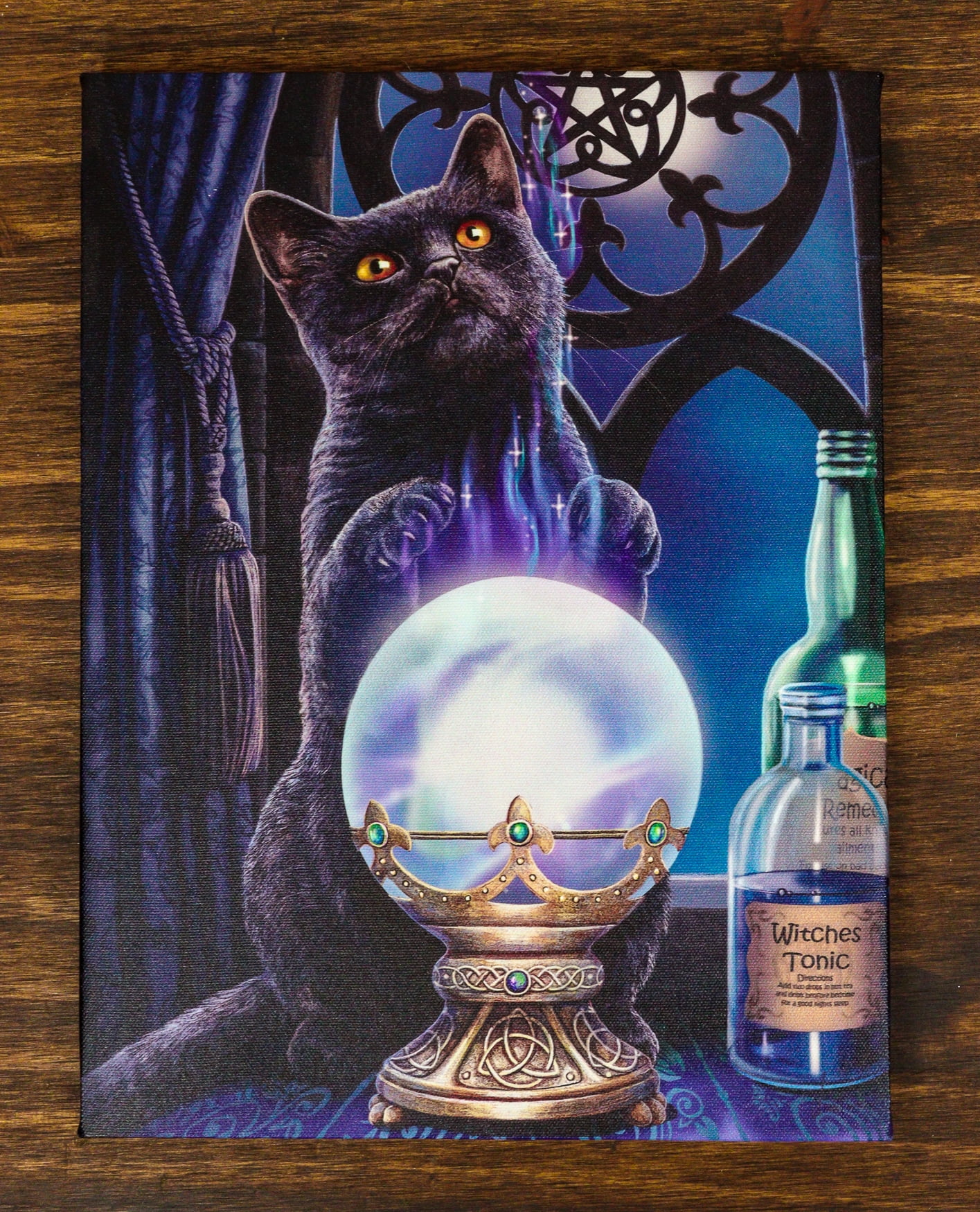 Wicca Witches Apprentice Black Cat By Gazing Ball Wood Framed Canvas ...