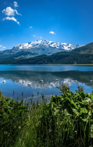 Wicked Diamond Painting Kits for Adults DIY Elphaba And Glinda Diamond ...