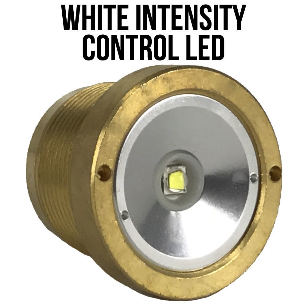 Wicked Lights Intensity Control Replacement LED - White - Walmart.com